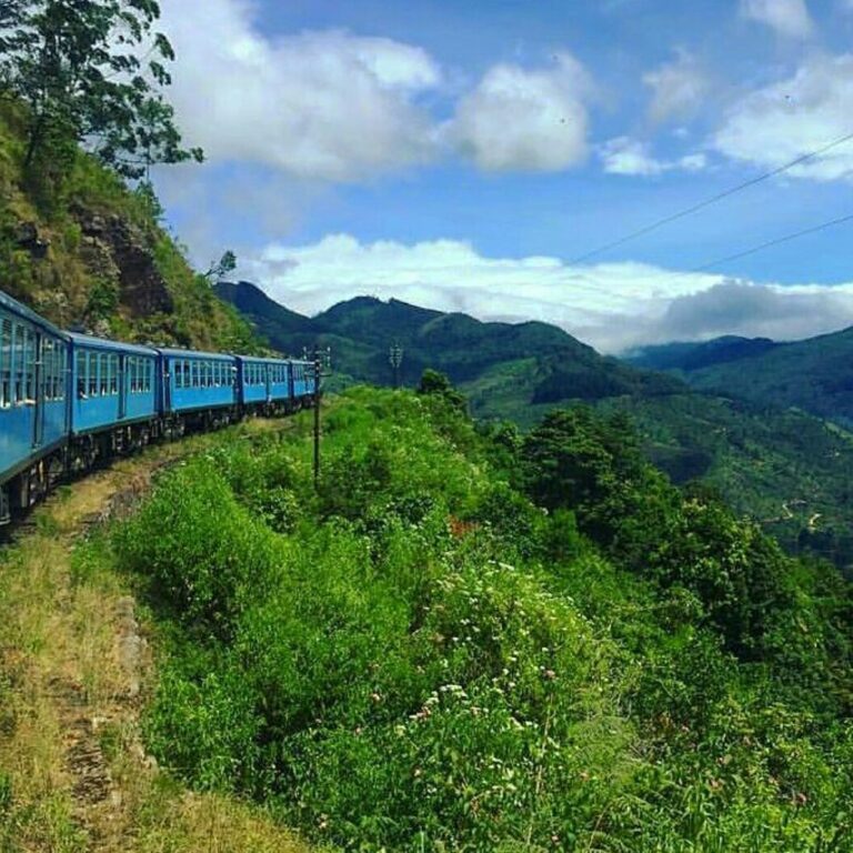 Airport Katunayake - Sri Lanka Travel and Tourism